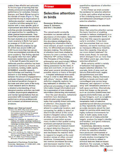 Selective Attention Examples Pdf Examples