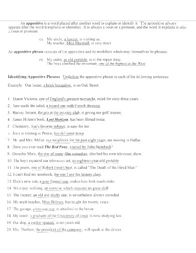 Appositive Phrase - Examples, PDF | Examples