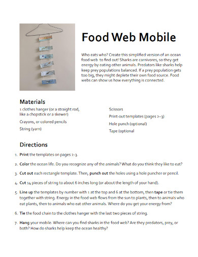Food Web - Examples, PDF | Examples