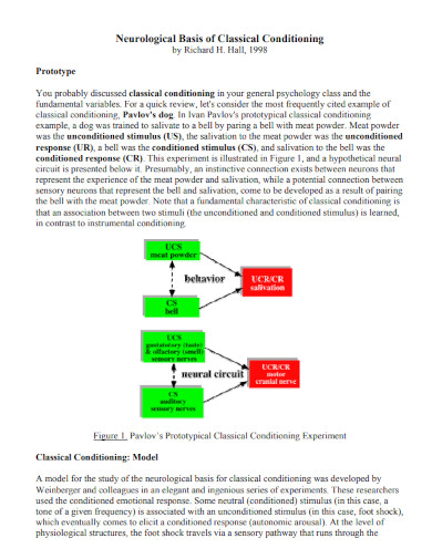 Classical Conditioning - Examples, PDF | Examples