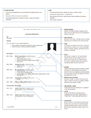 CV Format - Examples, PDF | Examples