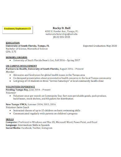 CV Format - Examples, PDF | Examples