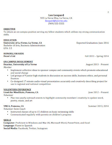 Job Resume - Examples, PDF | Examples