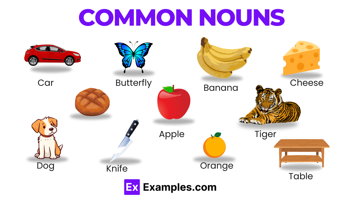 Common Noun 8 Examples Format How To Distinguish PDF