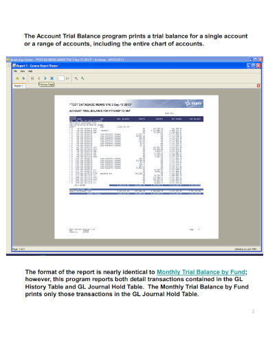 Trial Balance - Examples, PDF | Examples