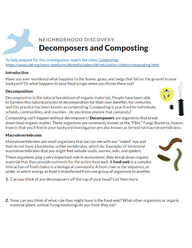 Decomposers - Examples, How to Create, PDF