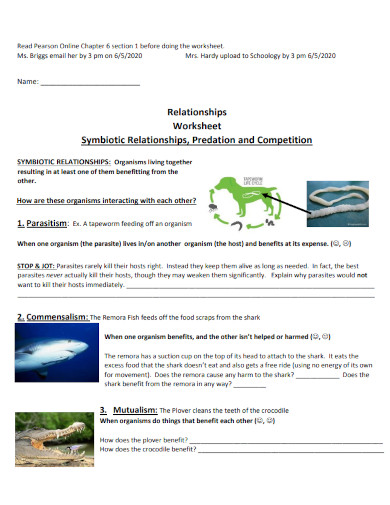 Symbiotic Relationship - Examples, PDF