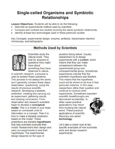 Symbiotic Relationship - Examples, Format, How to Identify, PDF