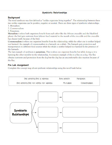 Symbiotic Relationship - Examples, Format, How to Identify, PDF