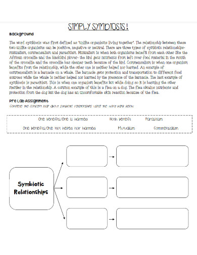 Symbiotic Relationship - Examples, Format, How to Identify, PDF