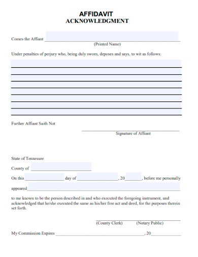 20+ Affidavit Format - Examples, Google Docs, MS Word, PDF | Examples