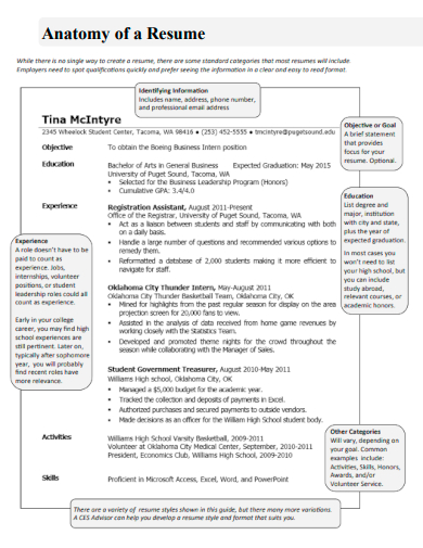 24+ General Resume Objective Examples in PDF, Word, Google Docs, Apple ...