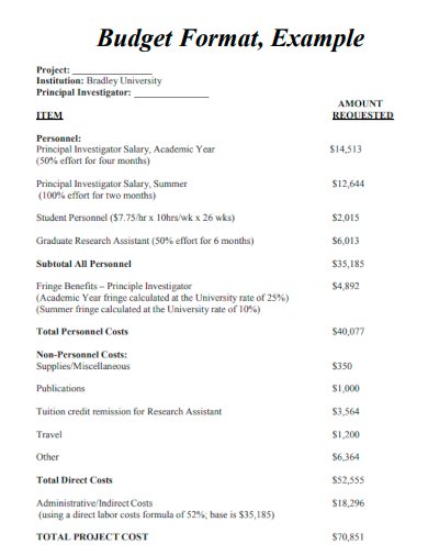 24+ Example Budget - Google Docs, Google Sheets, MS Excel, MS Word ...