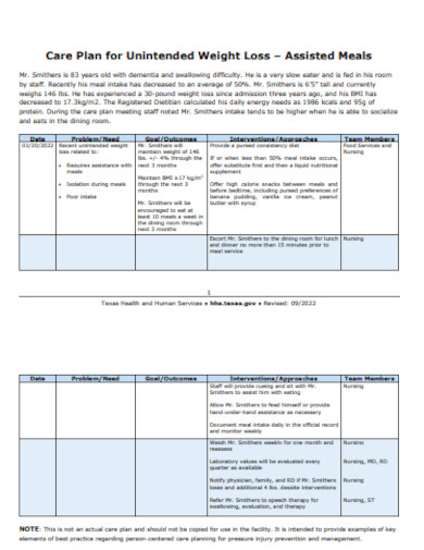 Care Plan - Examples, Word, Google Docs, Apple Pages, PDF | Examples