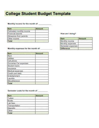 24+ Example Budget - Google Docs, Google Sheets, MS Excel, MS Word ...