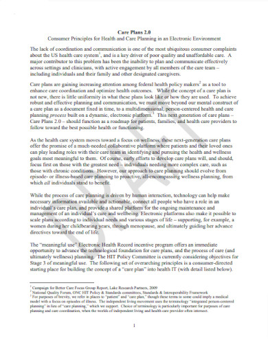 Care Plan - Examples, Word, Google Docs, Apple Pages, PDF | Examples