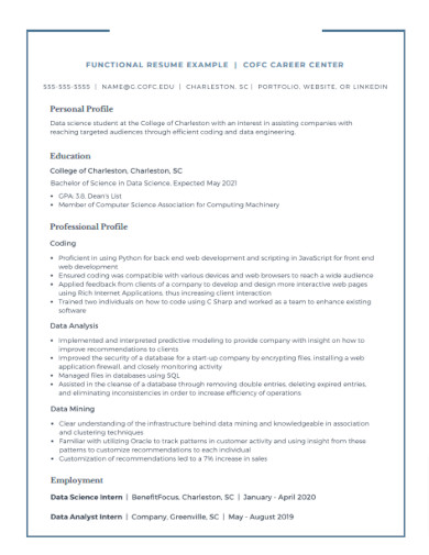 Functional Resume - Examples, Word, Apple Pages, PDF | Examples