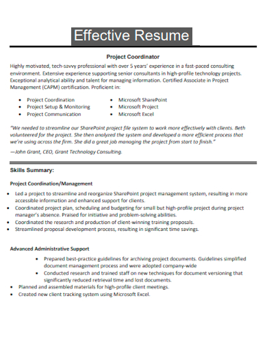 Good Resume - Examples, Word, Apple Pages, PSD, Google Docs, PDF | Examples