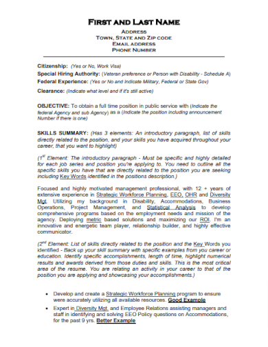 Sample Resumes - Example, Publisher, PSD, Apple Pages, InDesign ...