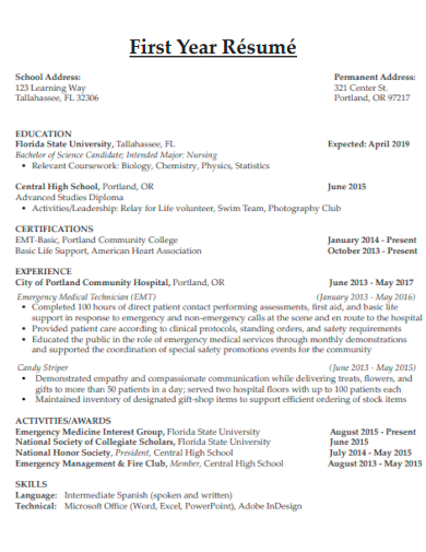 Great Resume - Examples, Google Docs, Word, Apple Pages, PSD, Publisher ...
