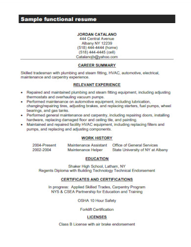Functional Resume - Examples, Word, Apple Pages, PDF | Examples