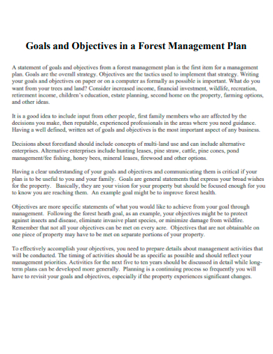 24+ Goals and Objectives - Examples, PDF | Examples