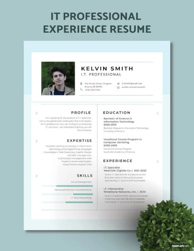 23+ IT Resume - Example, Word, Apple Pages, Google Docs, PSD, InDesign ...