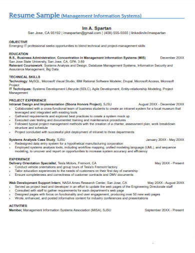 23+ IT Resume - Example, Word, Apple Pages, Google Docs, PSD, InDesign ...