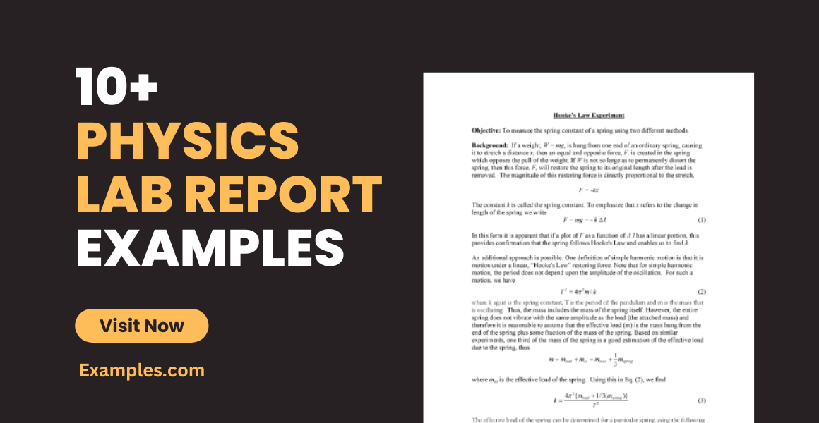 Lab Report Example Physics