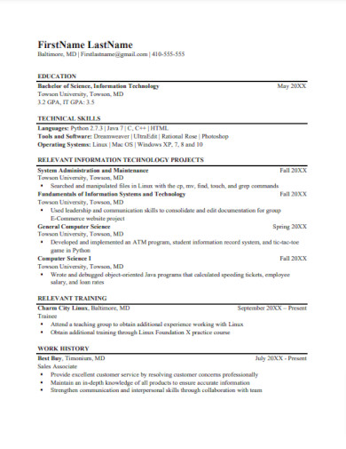 23+ IT Resume - Example, Word, Apple Pages, Google Docs, PSD, InDesign ...