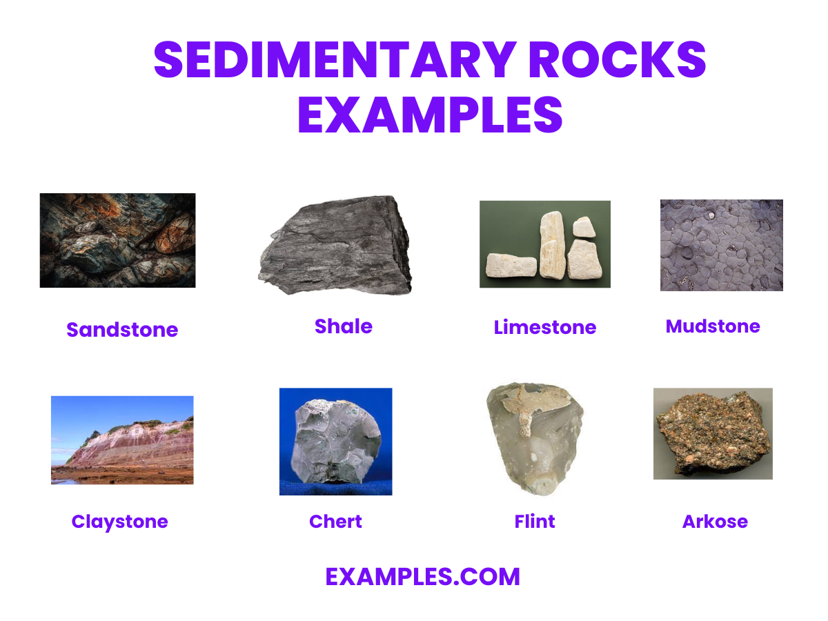 Sedimentary Rocks - 8+ Examples, Format, How to Identify, PDF