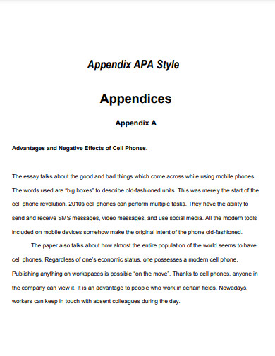 11 Appendix In APA Examples In PDF Examples