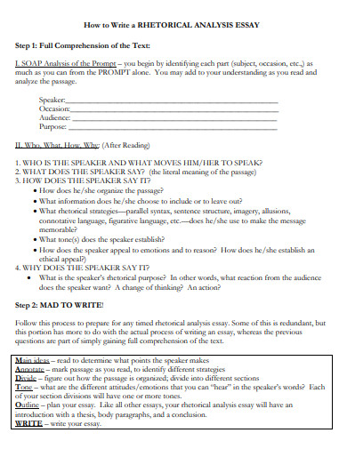 23+ Rhetorical Essay Examples in PDF | Examples