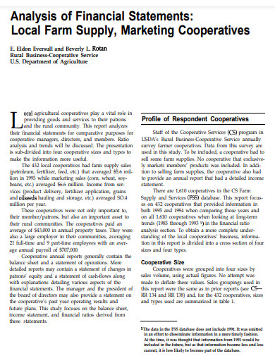 14+ Financial Performance Analysis Report in PDF | Examples