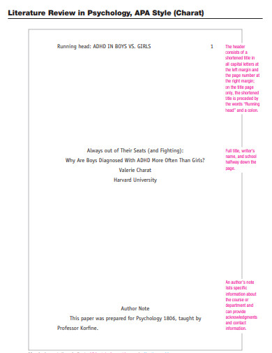 19+ APA Literature Review Examples in Word, Google Docs, PDF | Examples