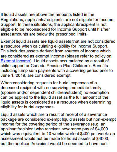 25+ Liquid Assets Examples in PDF | Examples