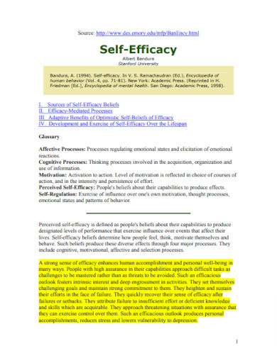 35+ Self-Efficacy Examples - PDF, DOCS | Examples
