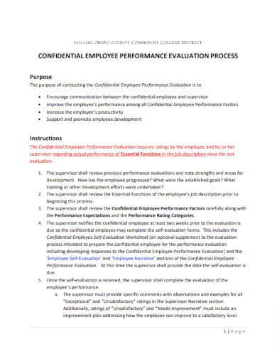 Self Evaluation for Work - 29+ Examples, Format, PDF
