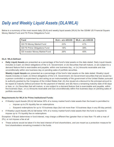 25+ Liquid Assets Examples in PDF | Examples