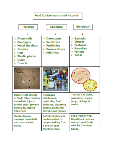 29+ Physical Hazard - Examples, PDF, DOCS | Examples
