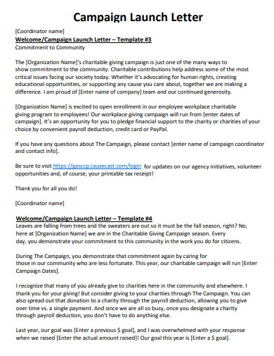 29+ Fundraising Campaign Letter Examples in Google Docs, Word, Outlook ...