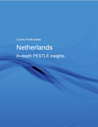 33+ Pestle Analysis - Example, PDF | Examples