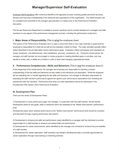 Self Evaluation for Work - 29+ Examples, Format, PDF
