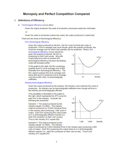 31+ Example of a Perfect Competition - PDF | Examples