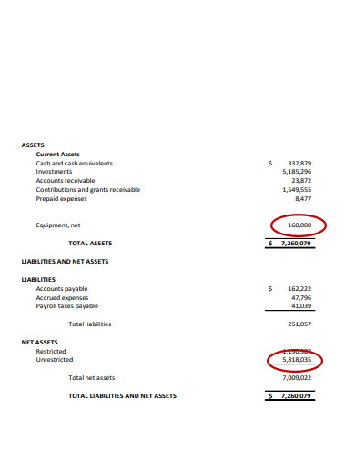 25+ Liquid Assets Examples in PDF | Examples