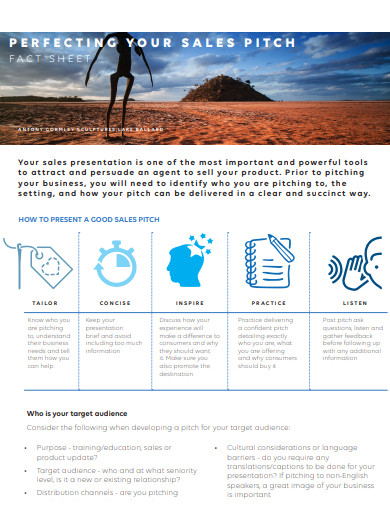 23+ Sales Pitch Examples in PDF, Google Slides, Powepoint, Flowcharts ...