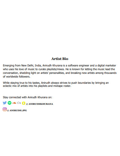 29+ Artist Bio Examples in Google Docs, Word, PDF, Apple Pages | Examples