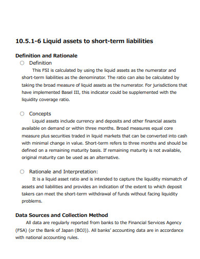 25+ Liquid Assets Examples in PDF | Examples