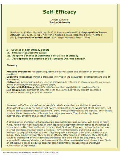 35+ Self-Efficacy Examples - PDF, DOCS | Examples