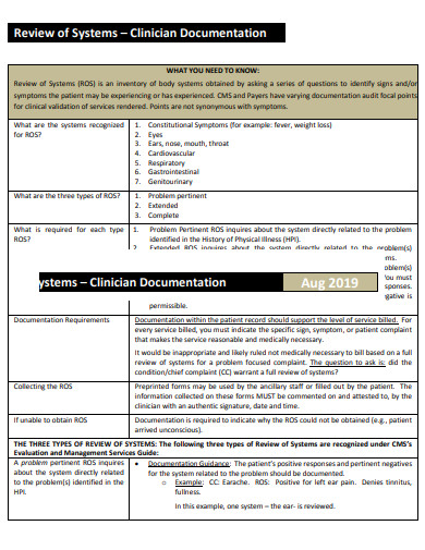 8+ Review of Systems in Google Docs, Word, PDF | Examples